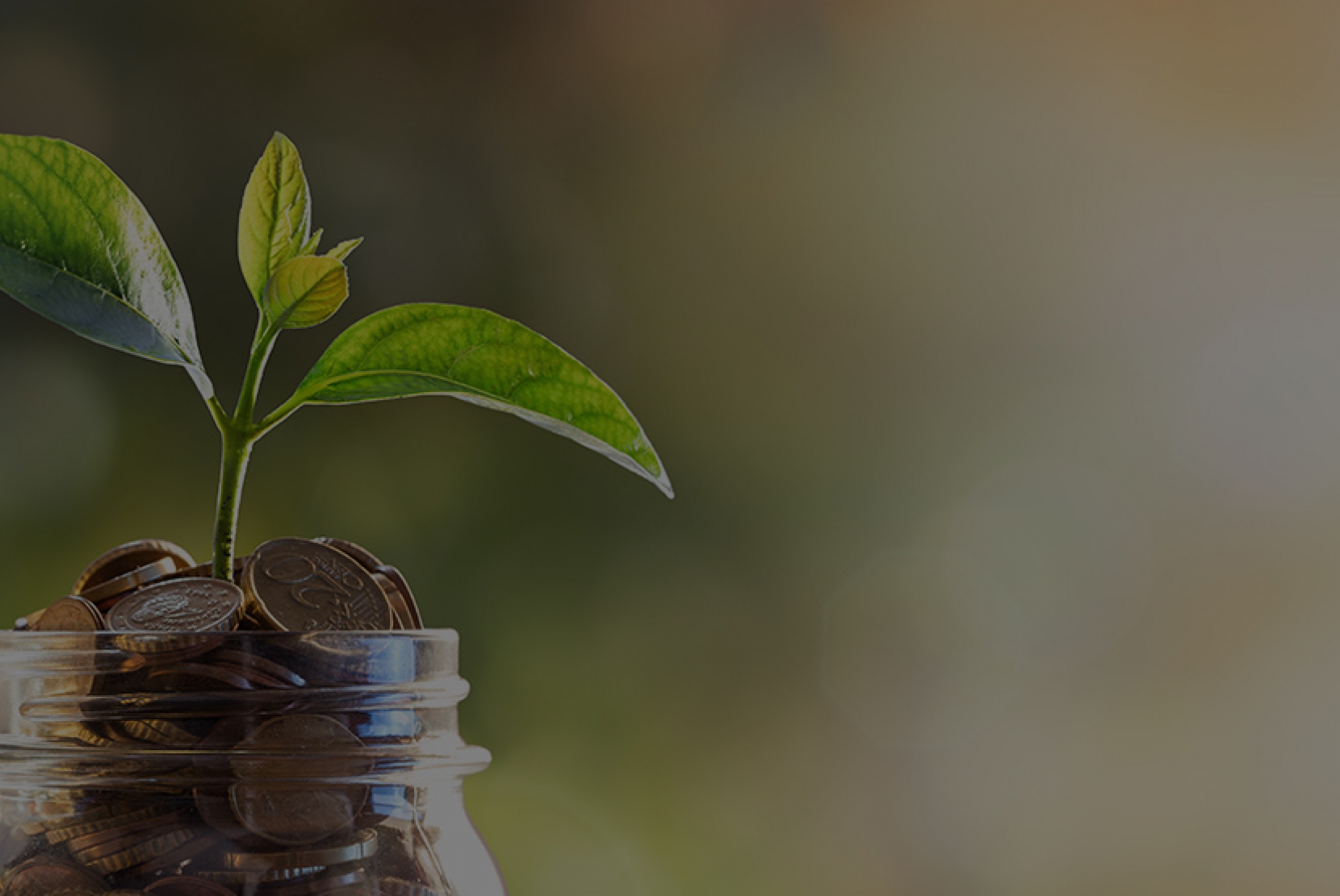 Personal Property Securities Register (PPSR) Solutions | Equifax AU