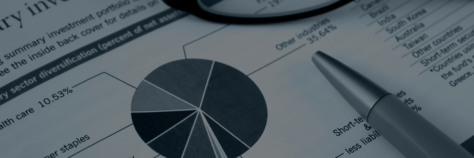 Financial Viability Assessments | Business & Enterprise | Equifax Australia